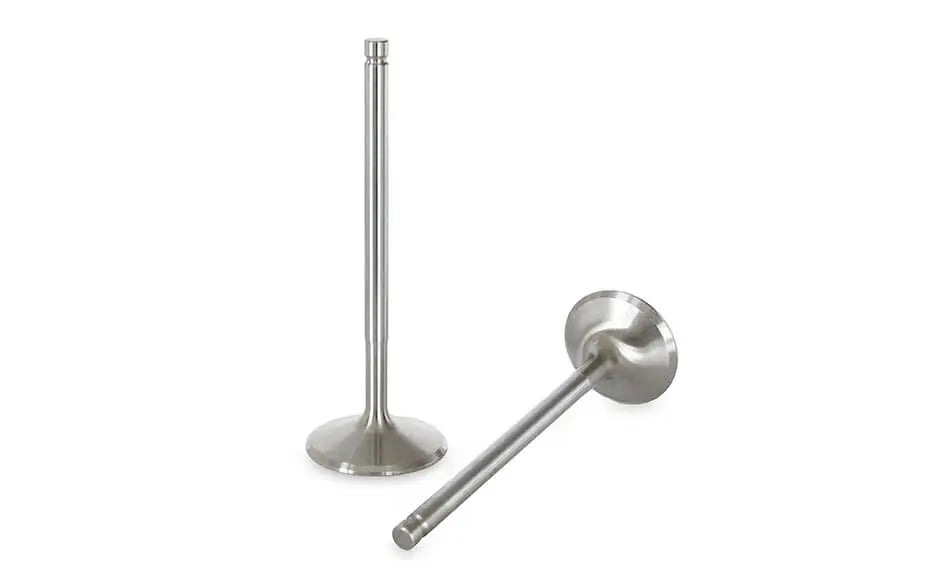 RB26DETT Intake Valve Set — Platinum Racing Products