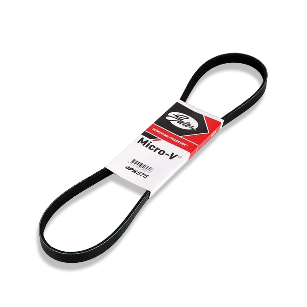 RB Alternator Belt — Platinum Racing Products